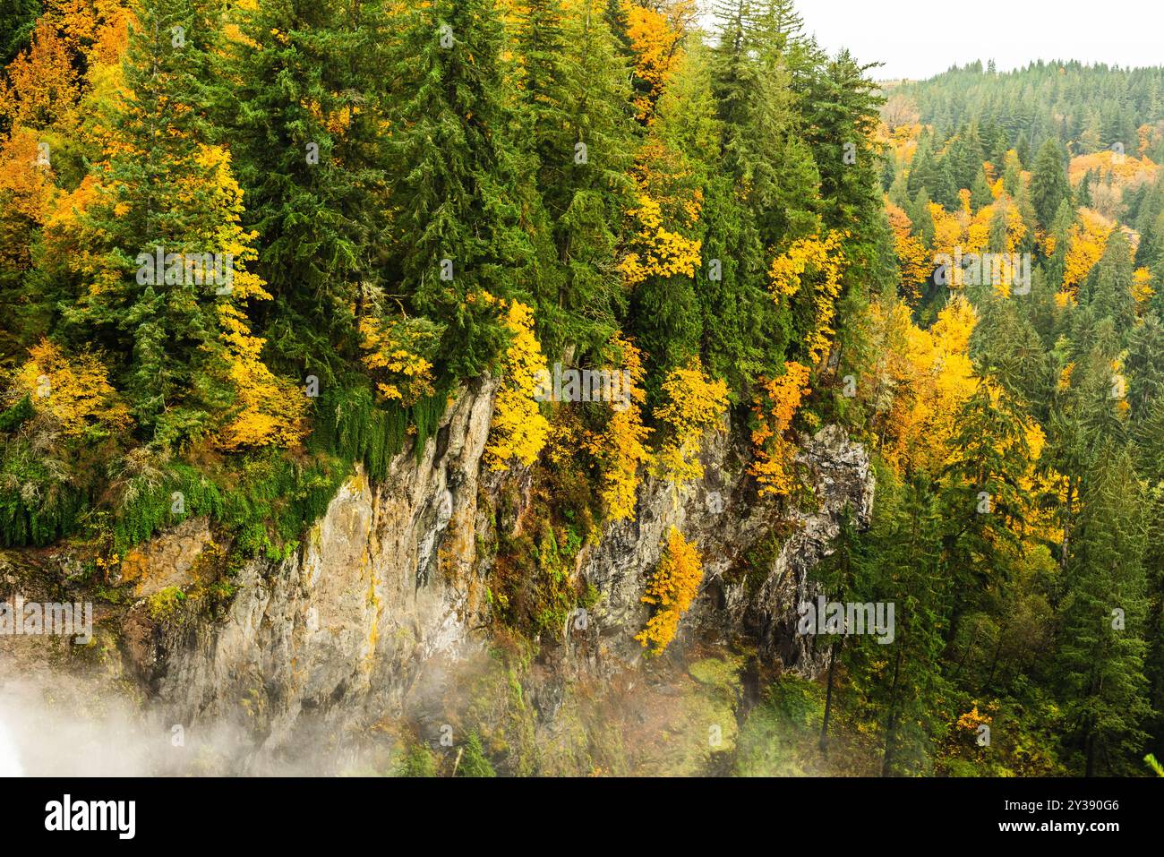 Autumn foliage on a rocky cliffside overlooking lush forests Stock ...