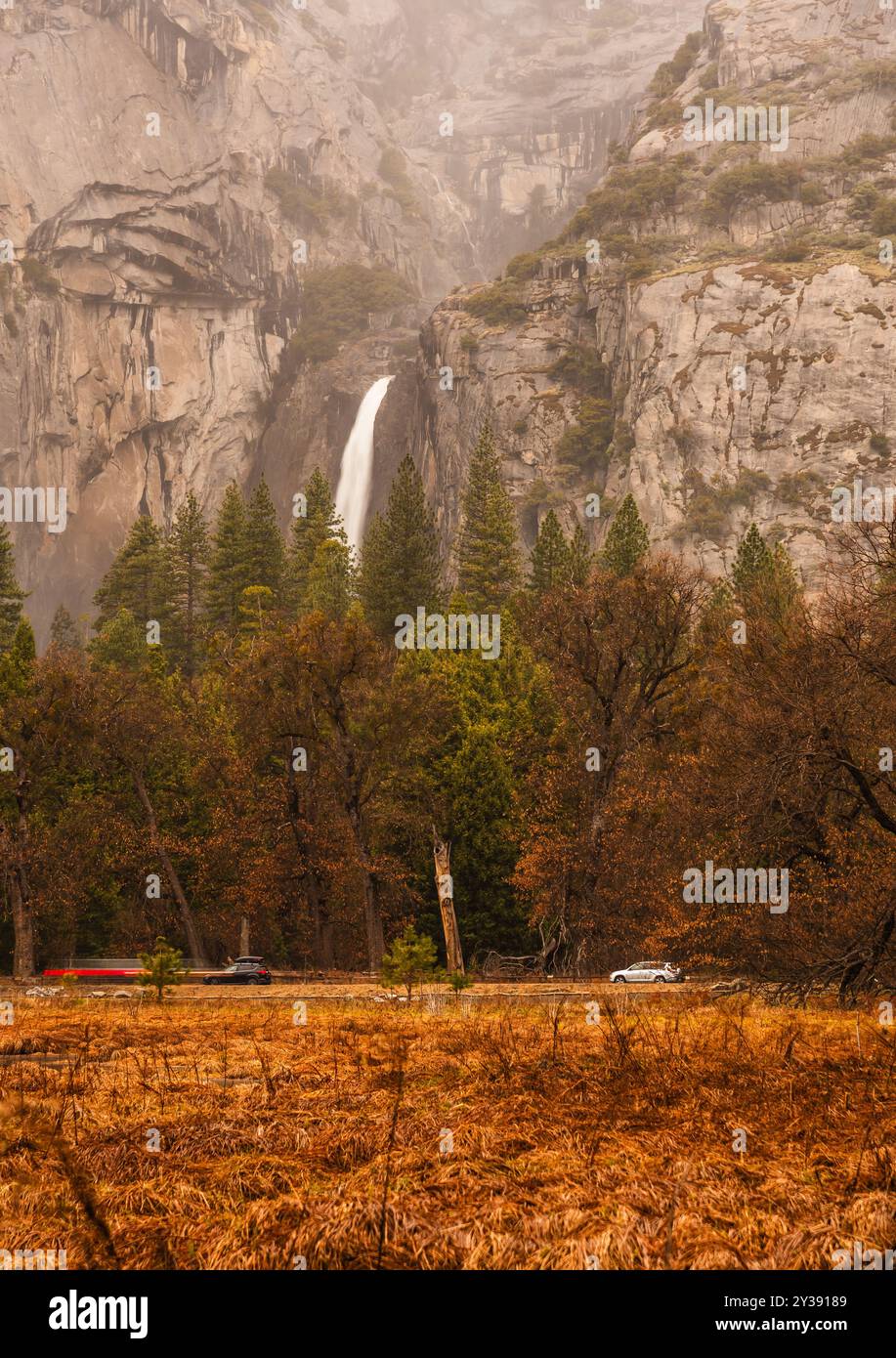 Yosemite Falls cascading amidst fog, surrounded by forest and cliffs ...