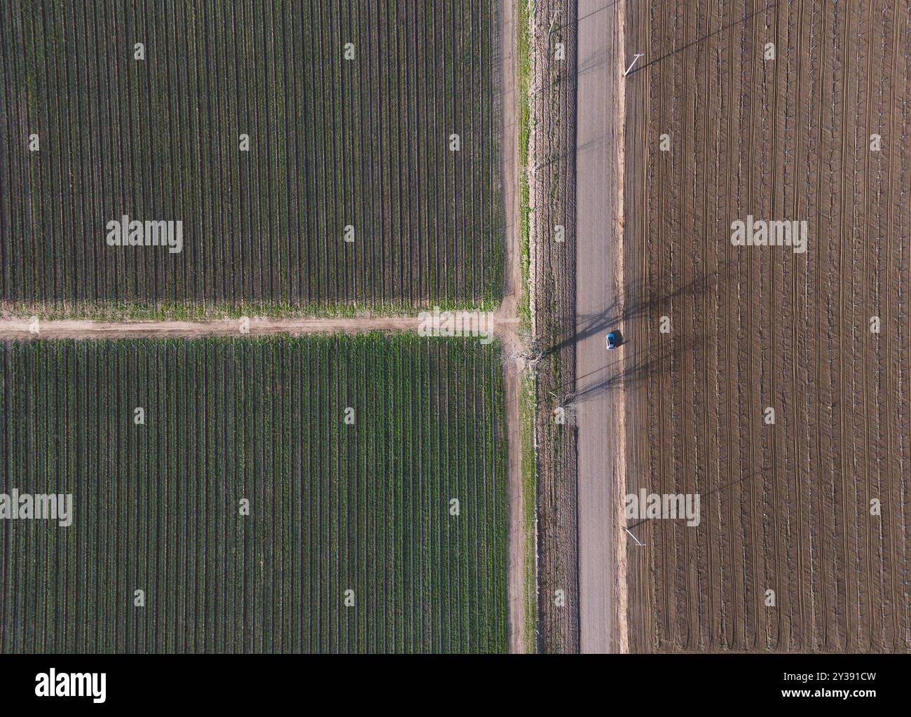 aerial view of crop fields and vineyards with anti-hail mesh Stock ...