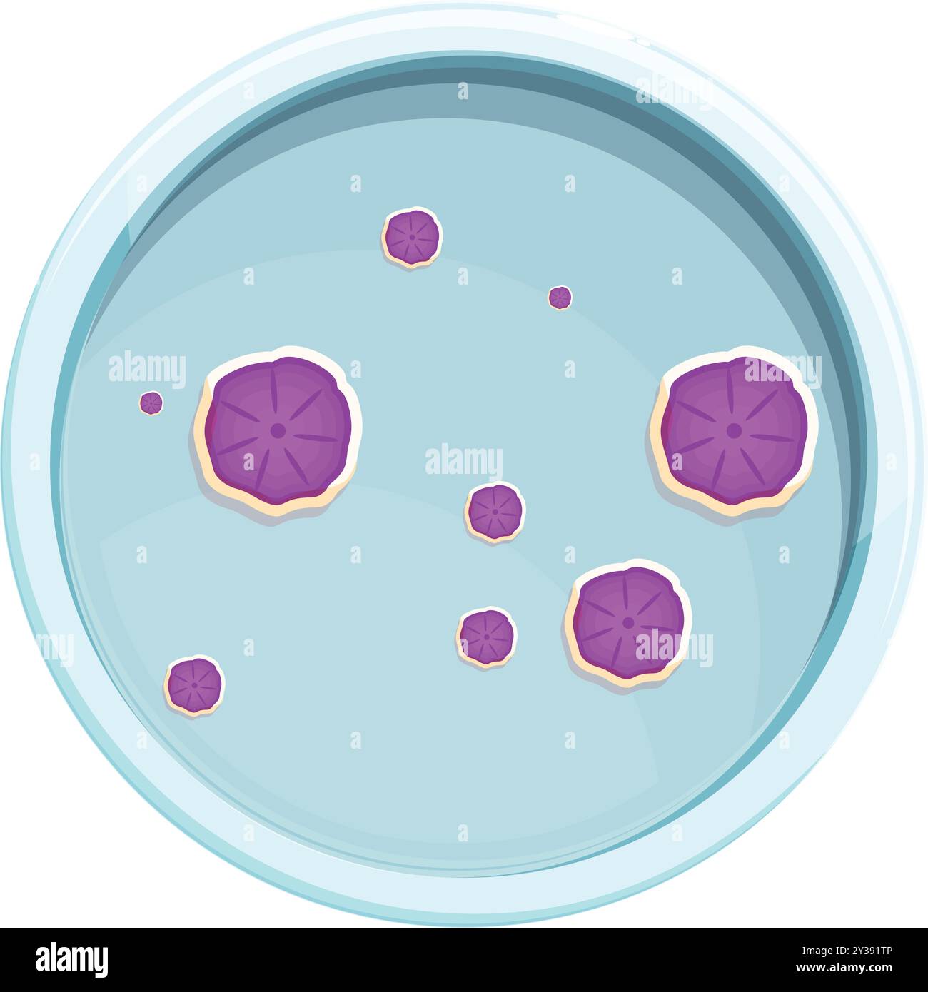 Petri dish drawing hi-res stock photography and images - Alamy