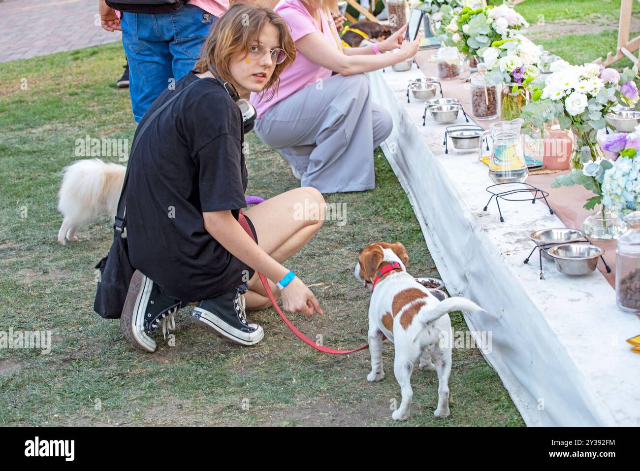 Banquet table for dogs hi-res stock photography and images - Alamy