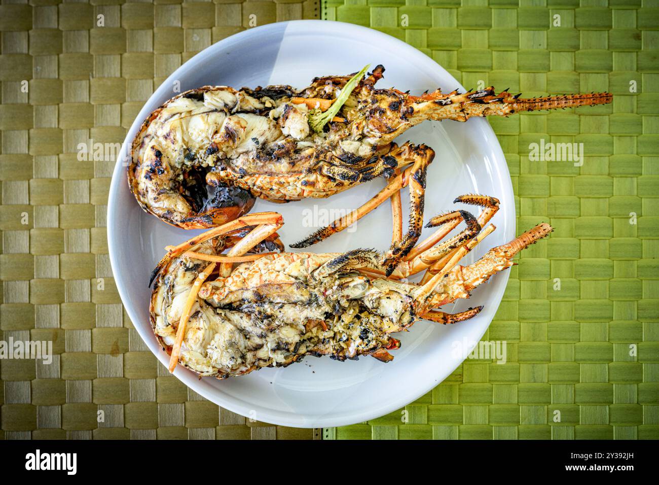 Antigua and barbuda fish hi-res stock photography and images - Alamy