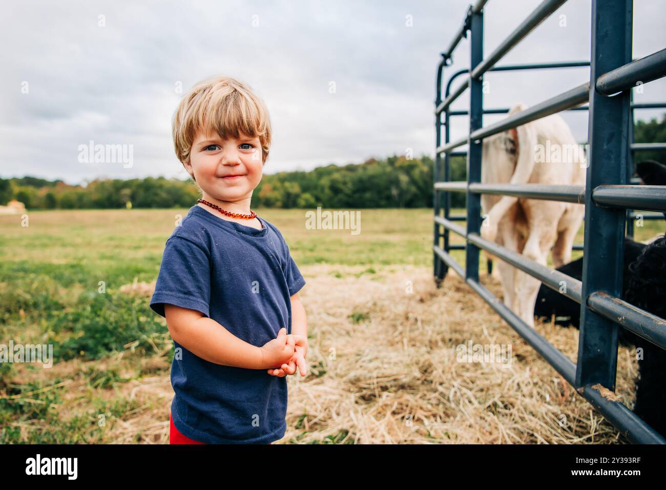 Fence post cow boy hi-res stock photography and images - Alamy
