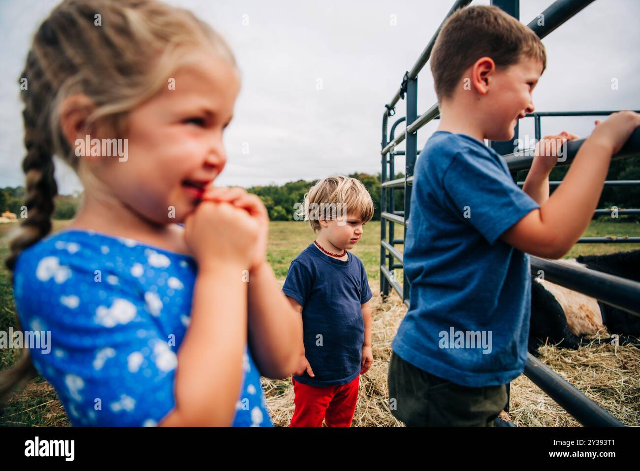 Three young children stand by a fence, observing animals on a farm ...