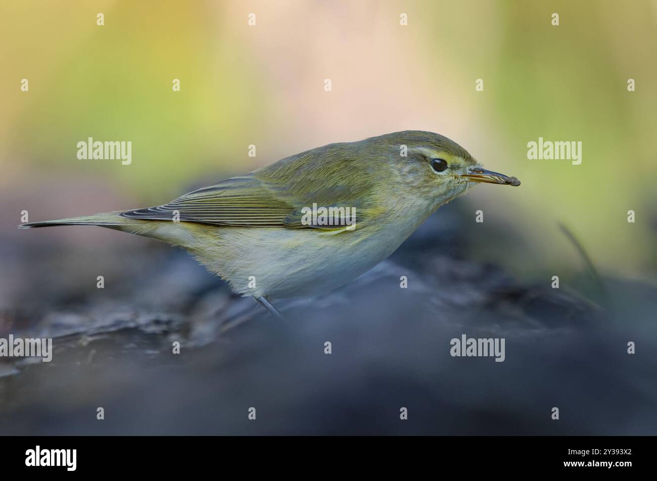 Cool take look close hi-res stock photography and images - Alamy