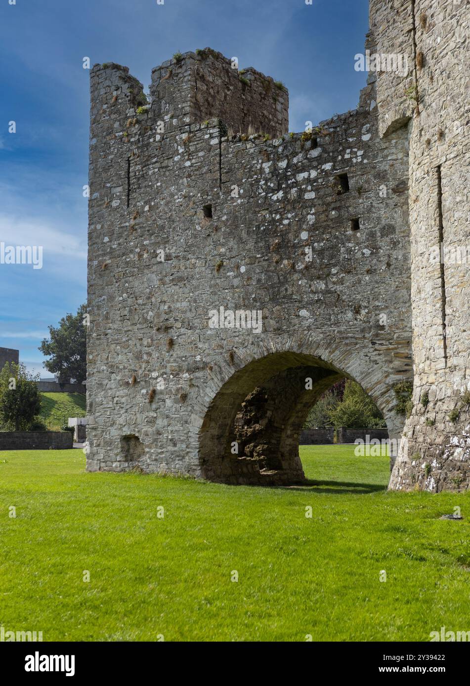 Ireland most famous castle "Trim Castle" on a summer day Stock Photo ...
