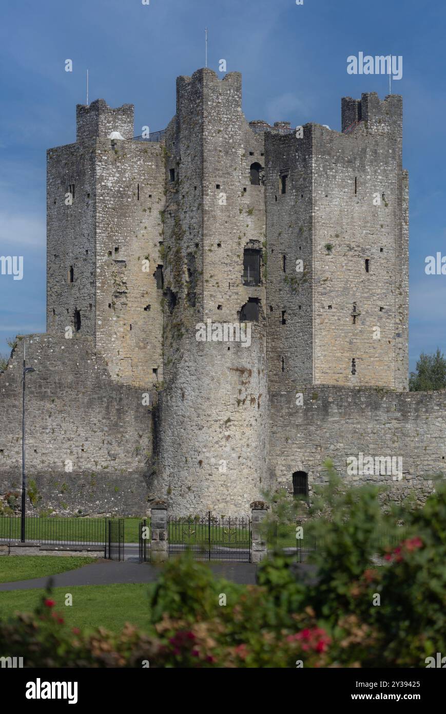 Ireland most famous castle "Trim Castle" on a summer day Stock Photo ...