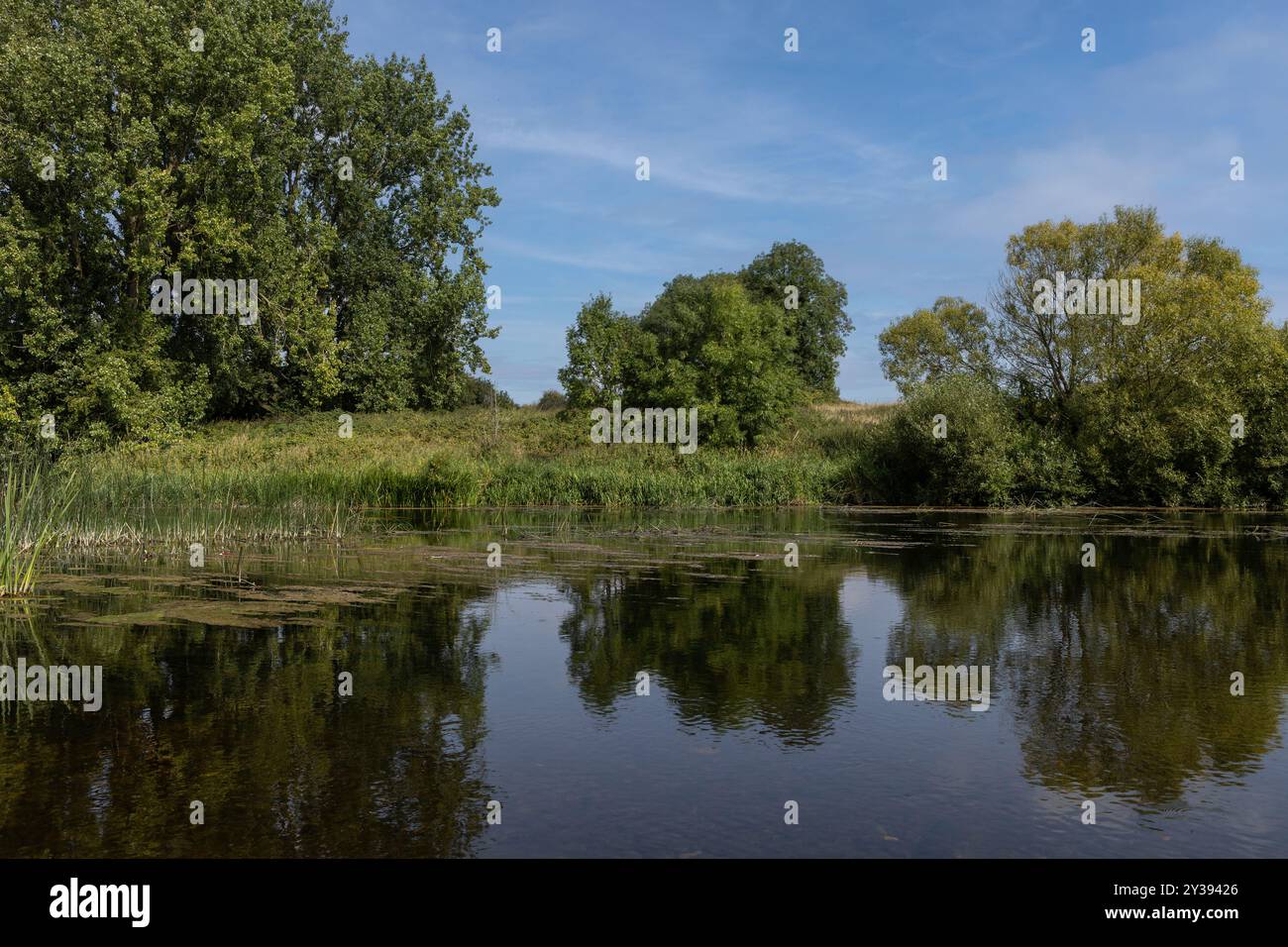 River Boyne very calm on a stunning Irish summers day Stock Photo - Alamy