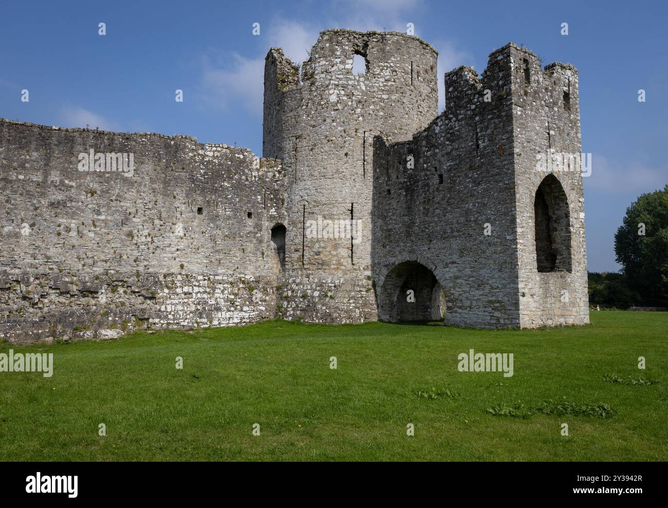 Ireland most famous castle "Trim Castle" on a summer day Stock Photo ...