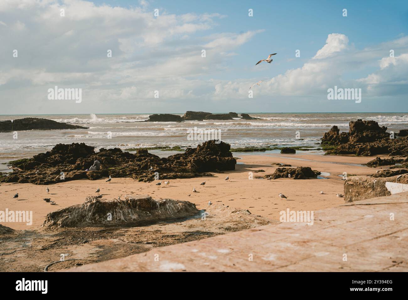 Ocean rocks essaouira morocco hi-res stock photography and images - Alamy