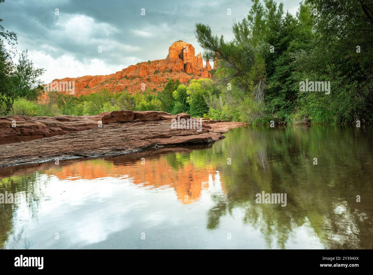 Reflection of Cathedral Rock in a calm stream, surrounded by greenery ...