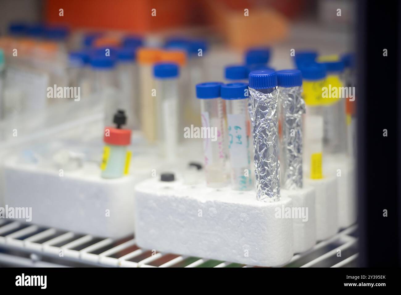 Conical centrifuge tubes wrapped in foil in biotech lab refriger Stock Photo - Alamy
