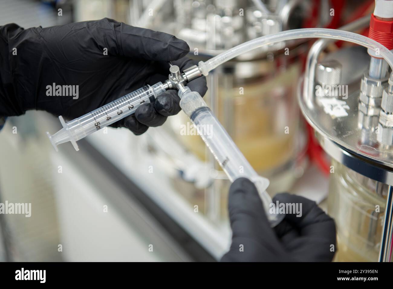 Gloved scientist hands using syringe to pull a sample from exper Stock ...