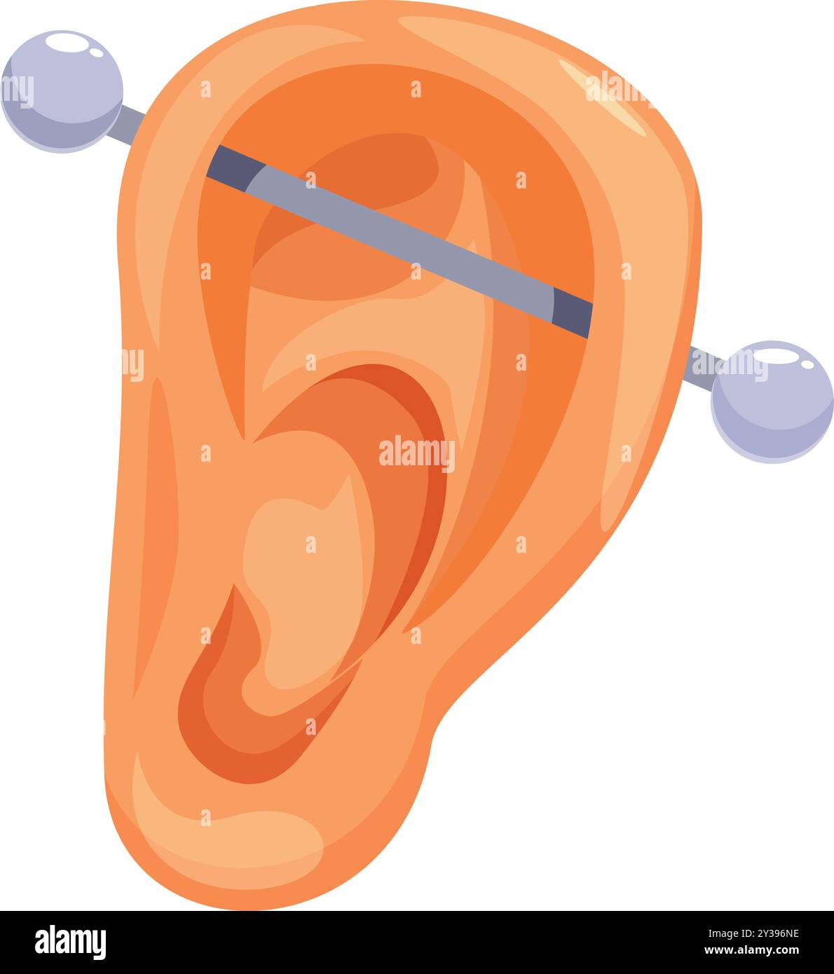 Human ear with industrial piercing showing body modification on white ...