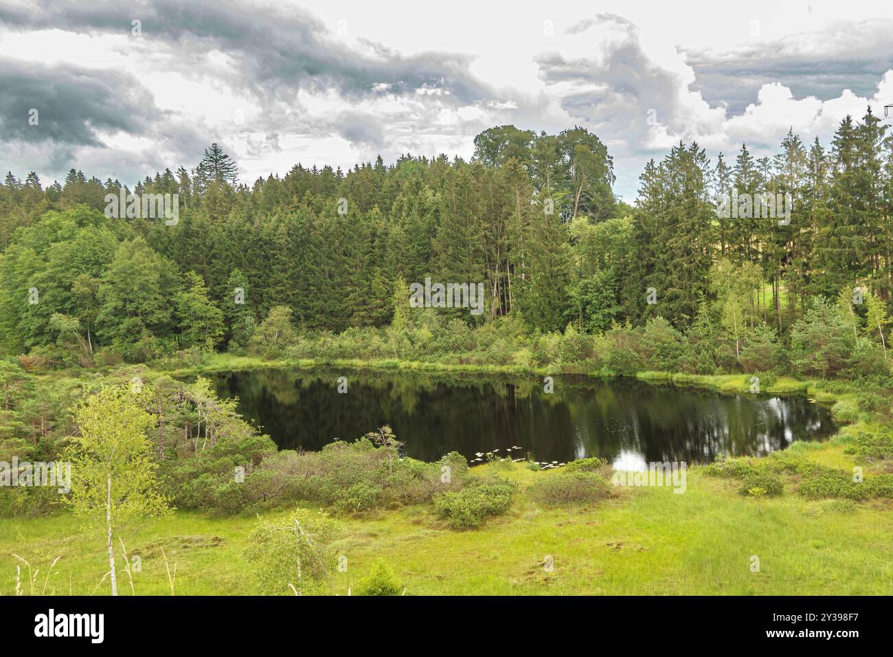moor lake with mixed forest, Germany, Bavaria, Eggstaett-Hemhofer ...