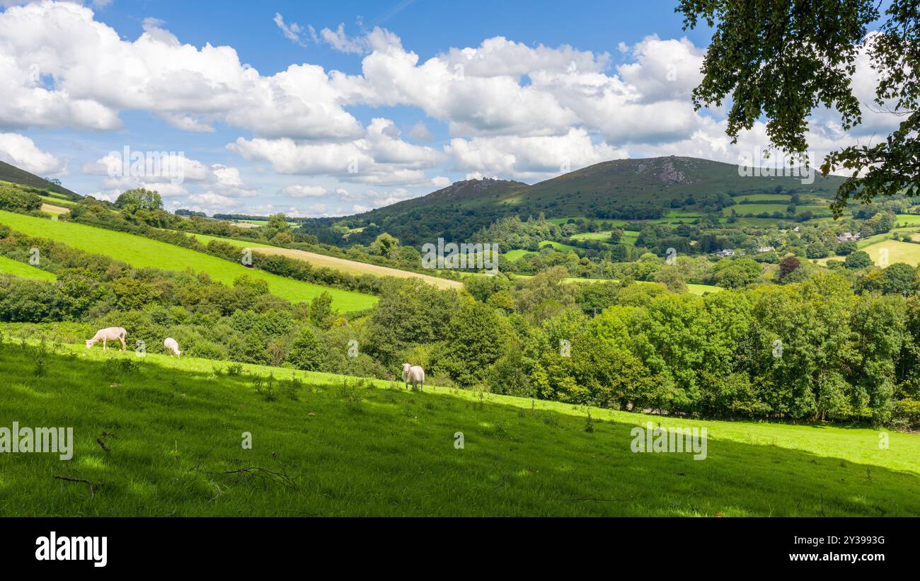 The Widcombe Valley from Widcombe-in-the-Moor with Honeybag and ...