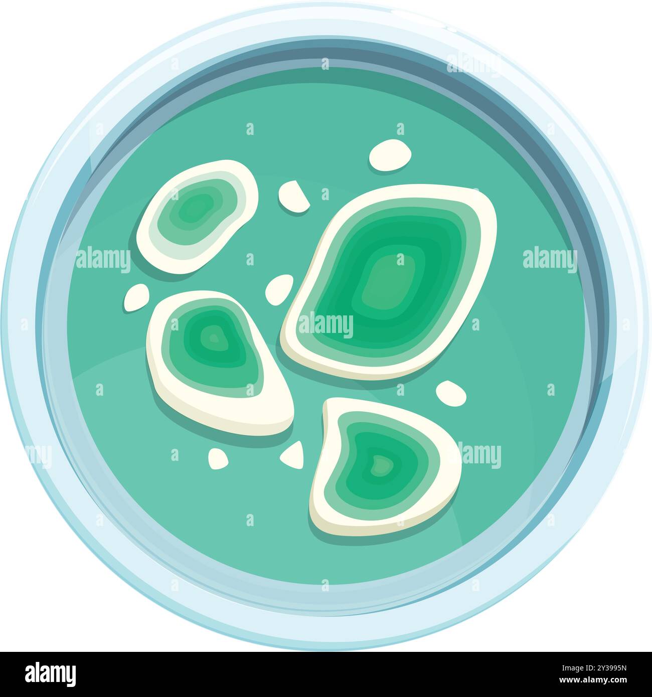 Bacteria growing in a petri dish Stock Vector Images - Alamy