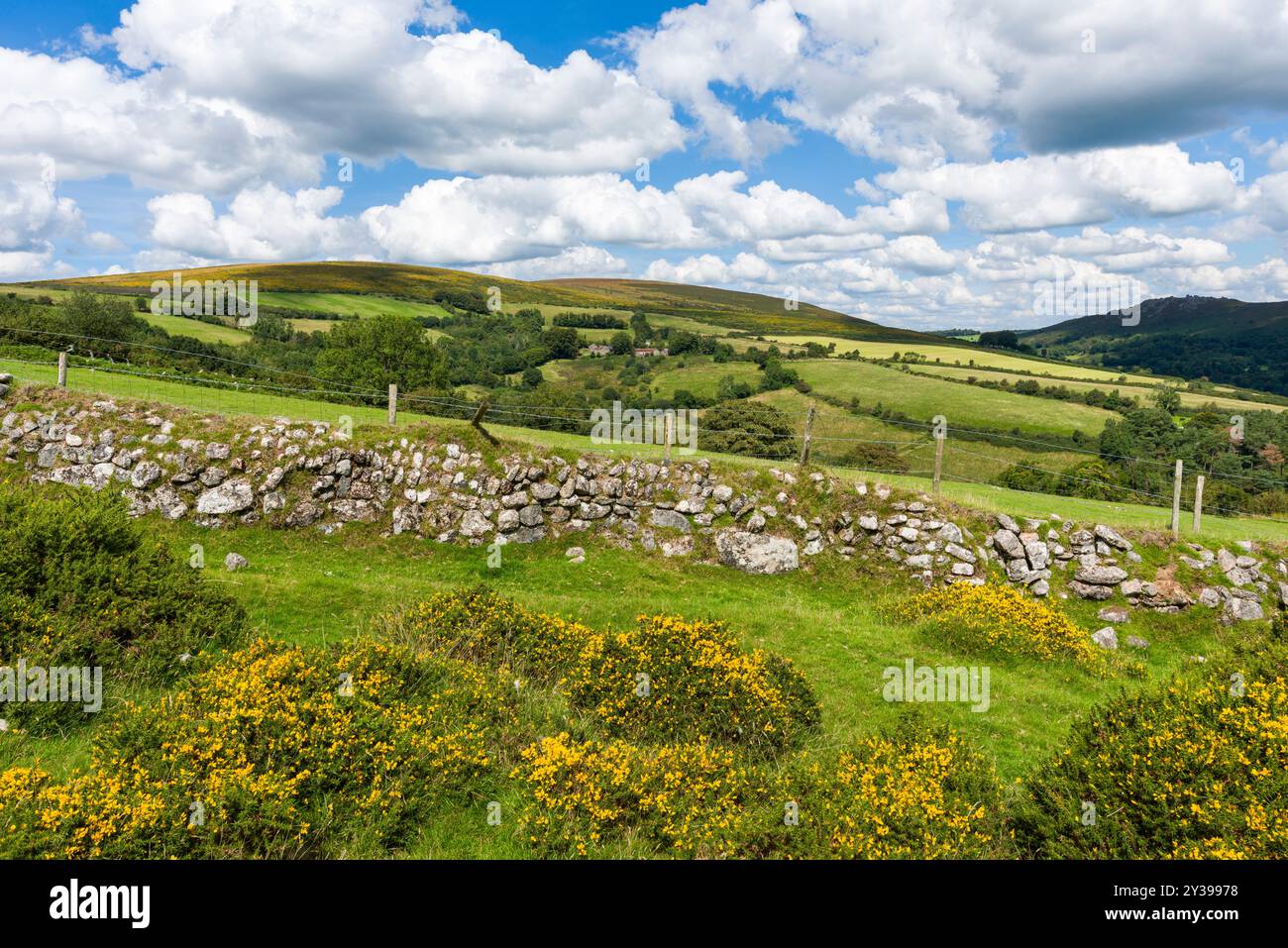 A dry stone wall above Widecombe-in-the-Moor with Hamel Down beyond ...