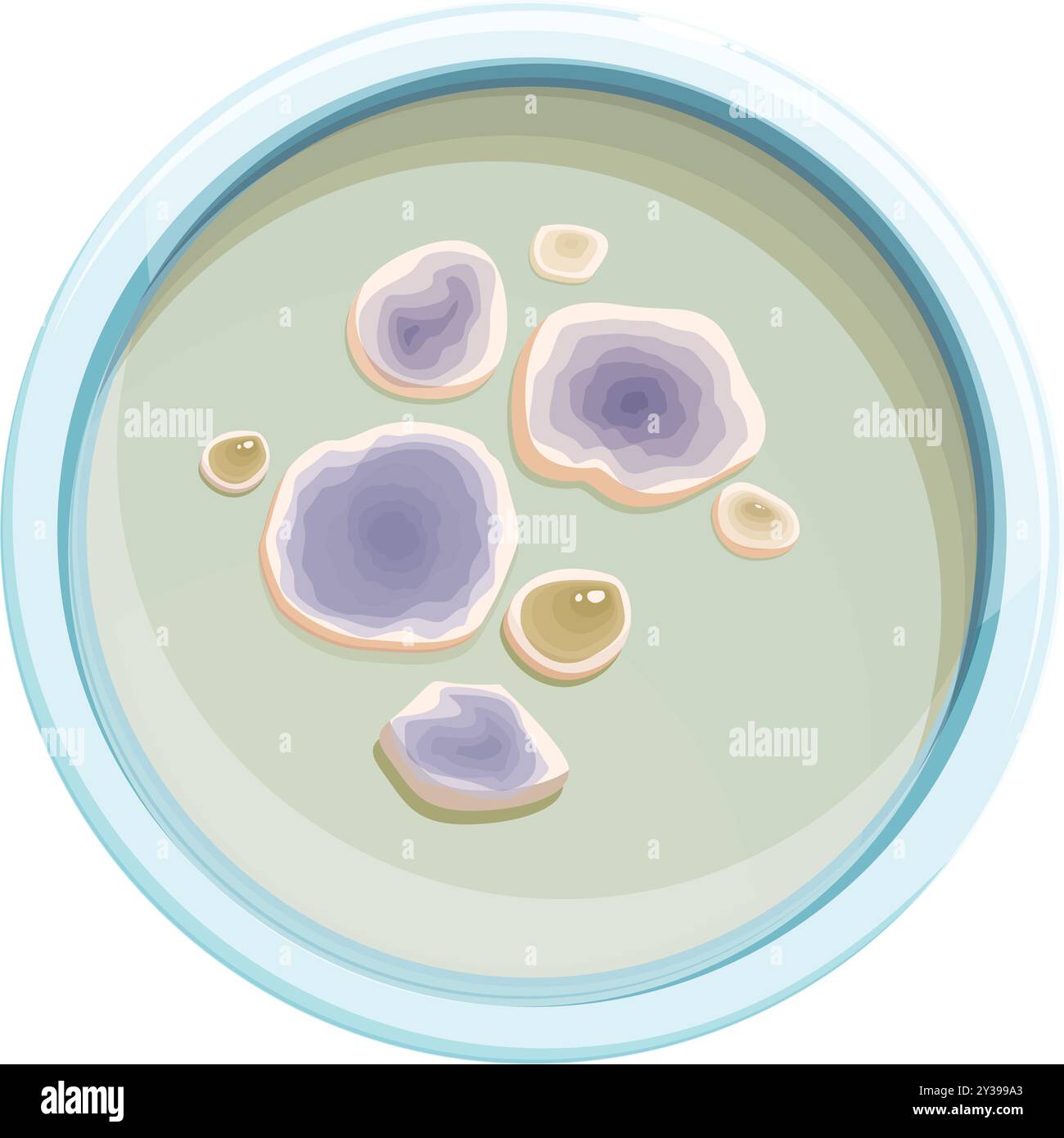 Cell culture growth medium Stock Vector Images - Alamy