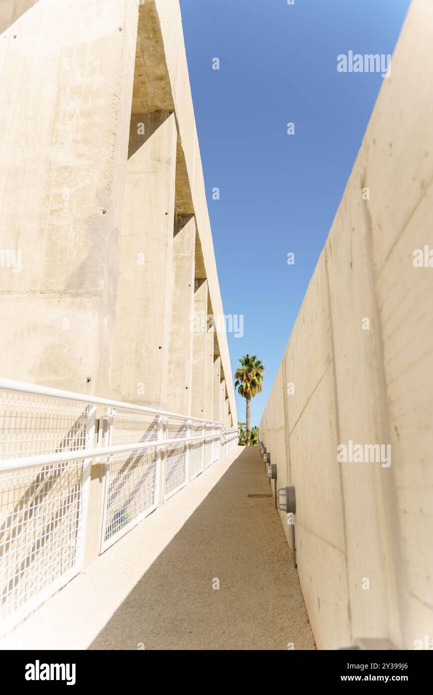 concrete structure with a pedestrian ramp, with a blue sky and a palm ...