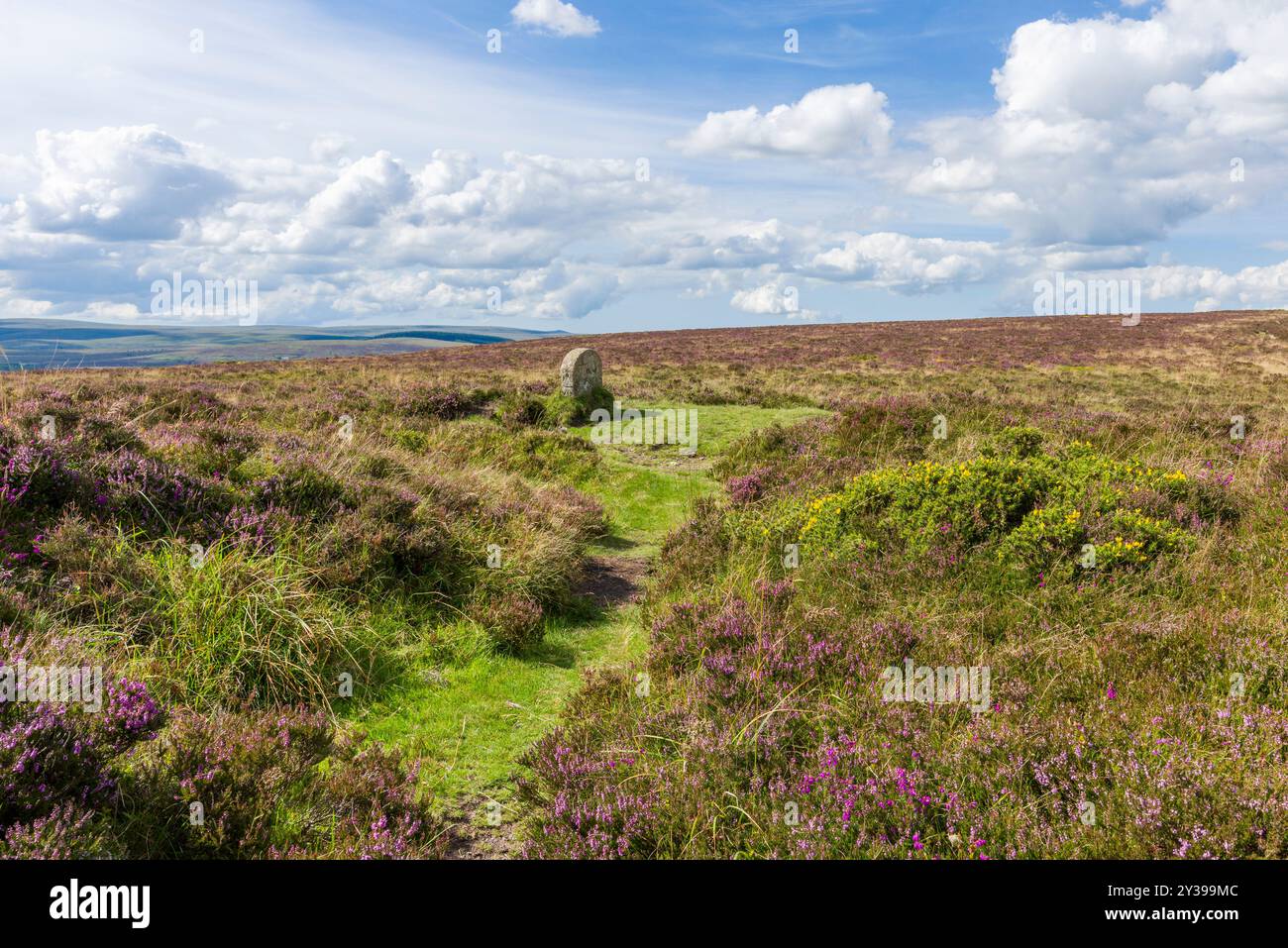 The boundary stone at Two Barrows on Hamel Down in Dartmoor National ...