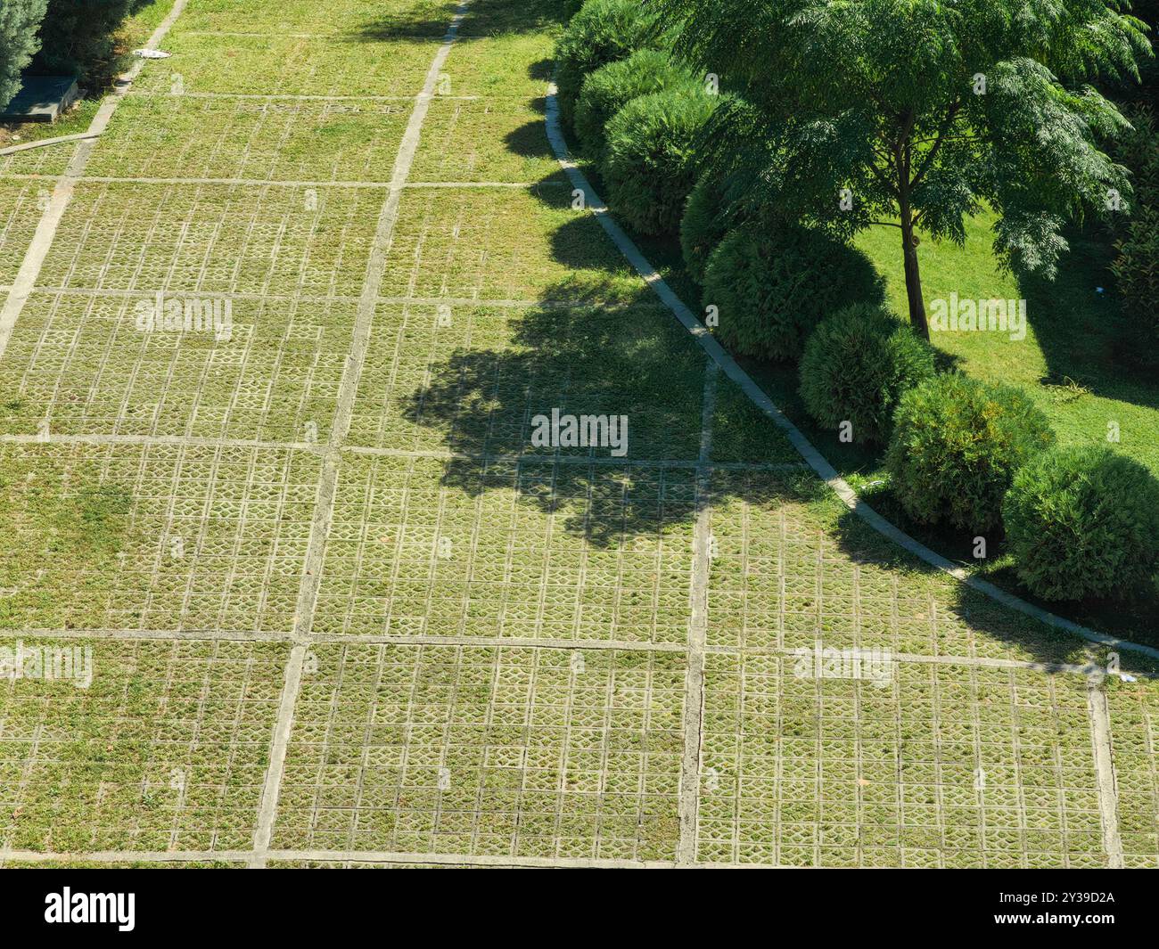 Aerial View of a Square Grass Field: Patterns of Light and Shadow Stock ...