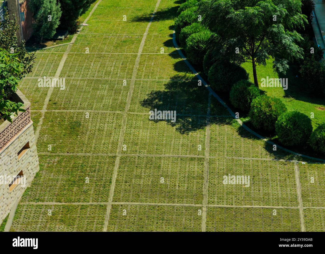 Aerial View of a Square Grass Field: Patterns of Light and Shadow Stock ...