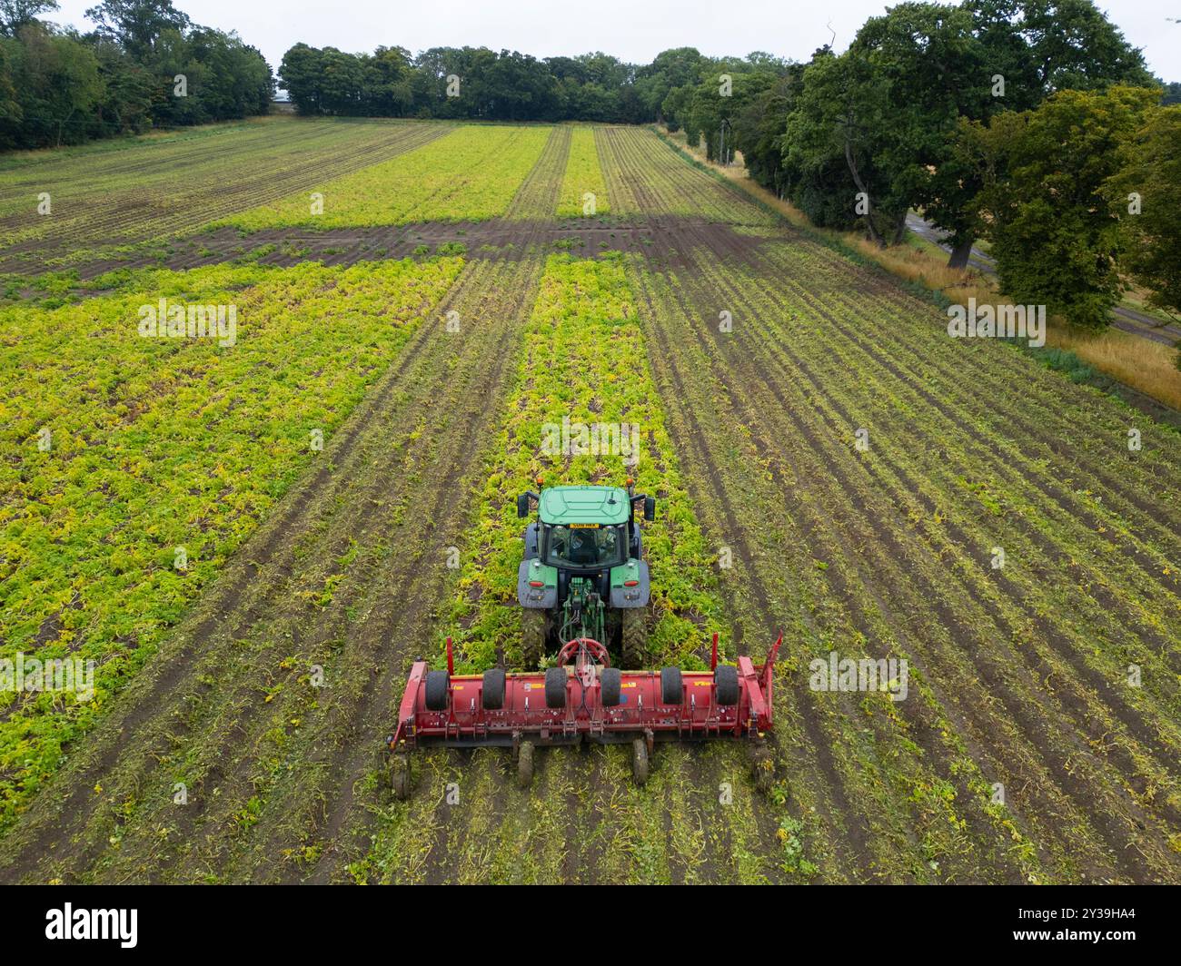 Drem hi-res stock photography and images - Alamy