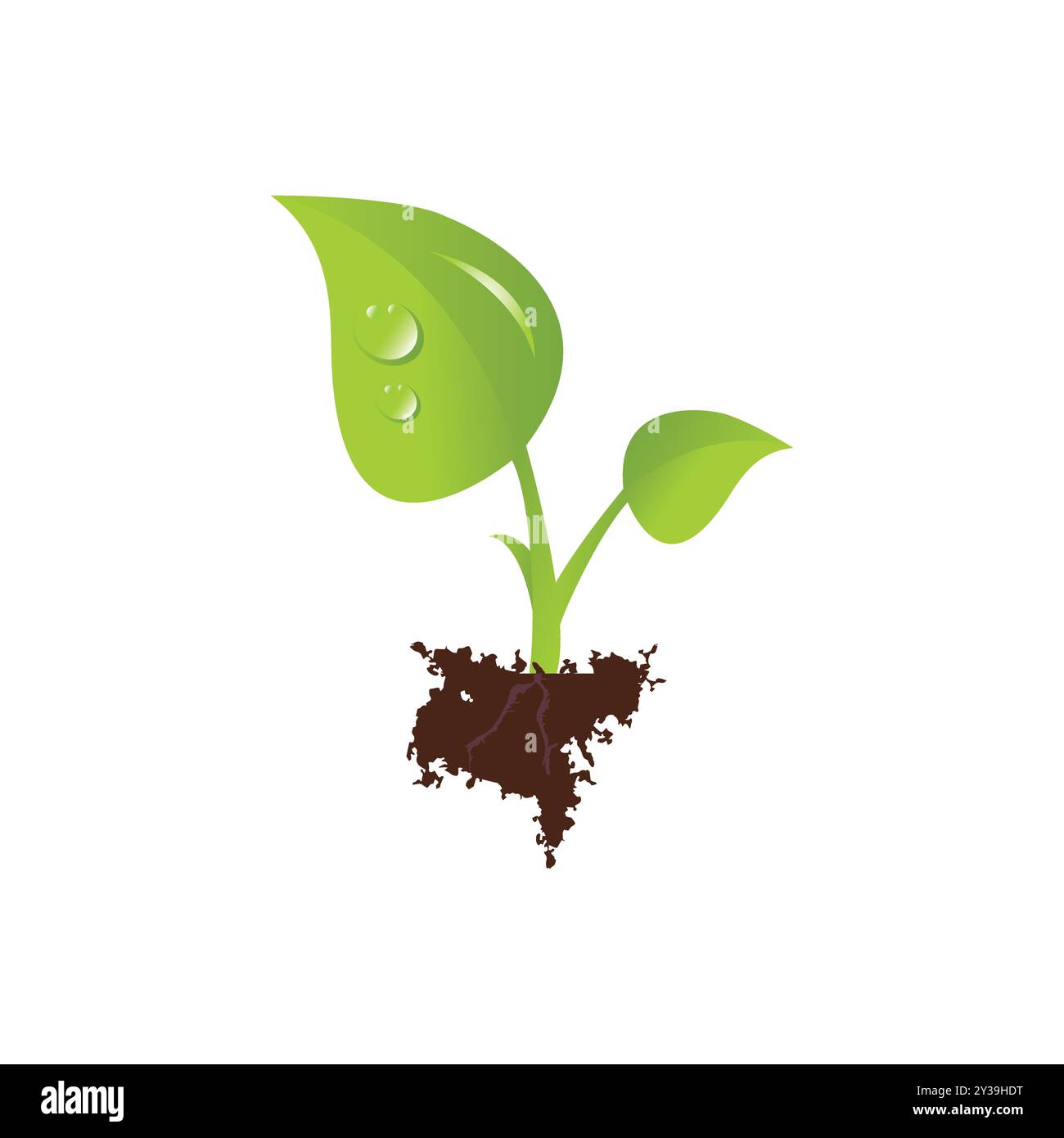 ECO environment Natural Logo Shape Stock Vector Image & Art - Alamy