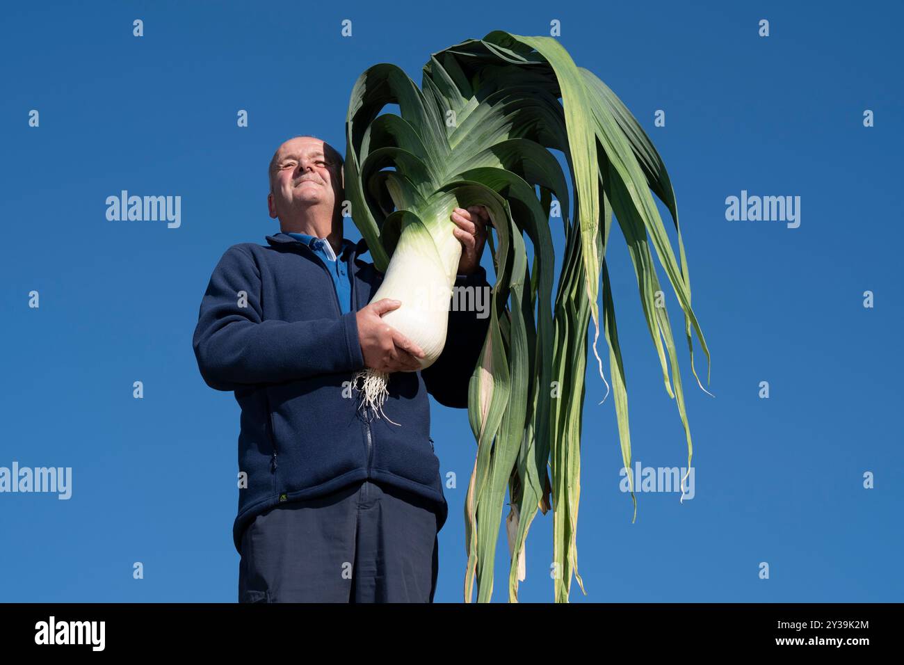 Stephen Purvis with his 8.960kg leek that won 1st place in the Heaviest ...
