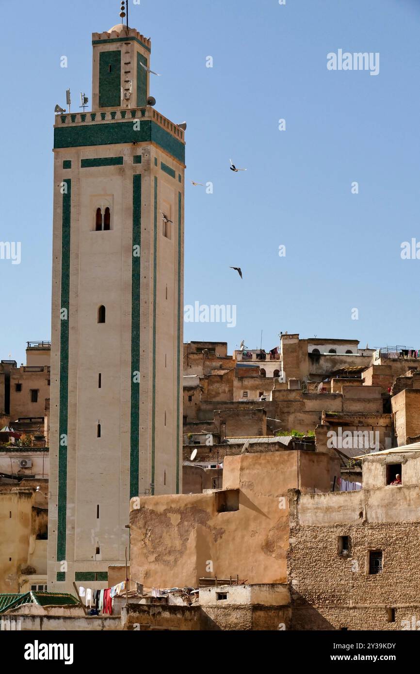 Fes, one of the Imperial Cities of Morocco famous for its Souk and ...