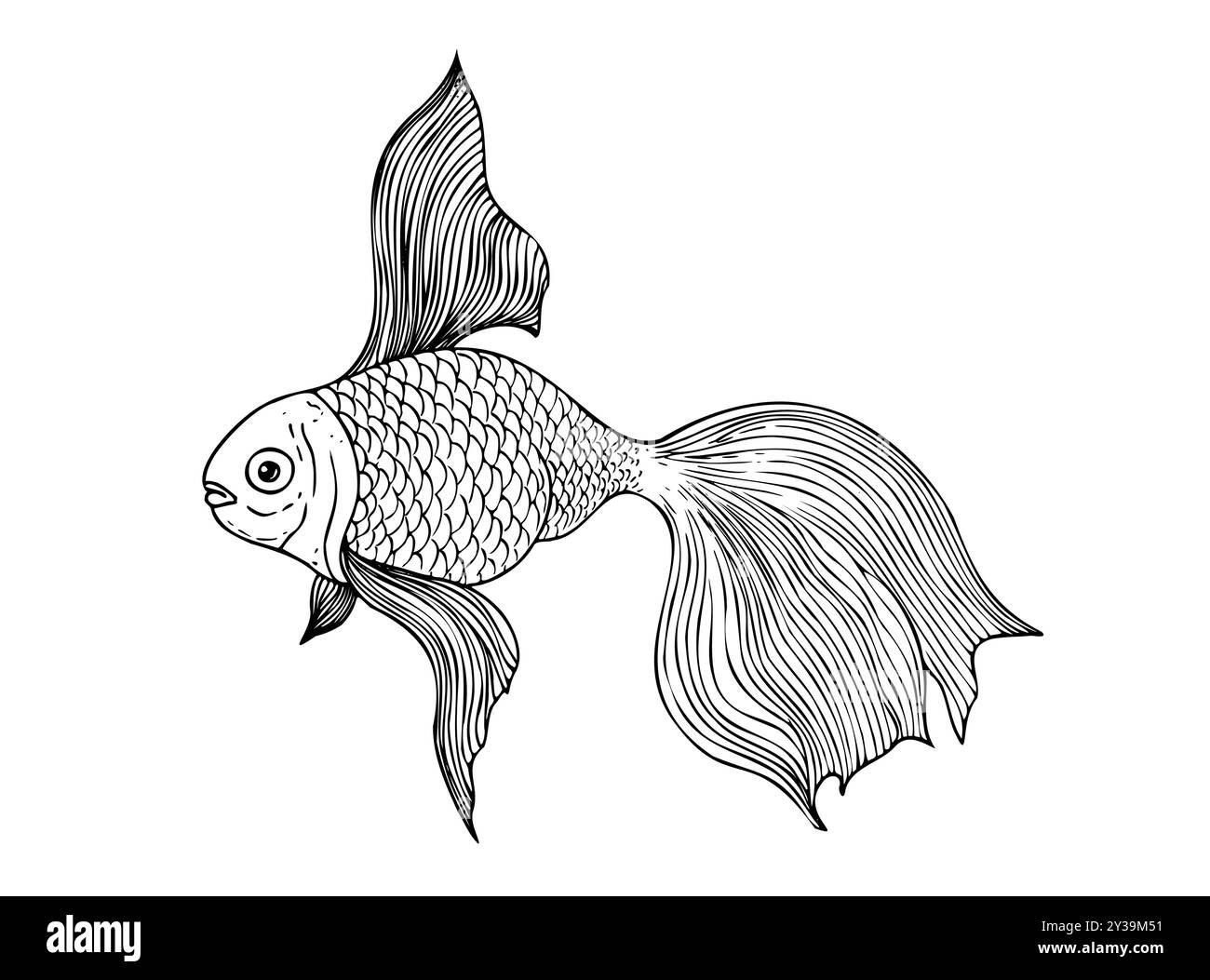 Vector tropical gold fish. Hand painted line exotic reef. Graphic ...