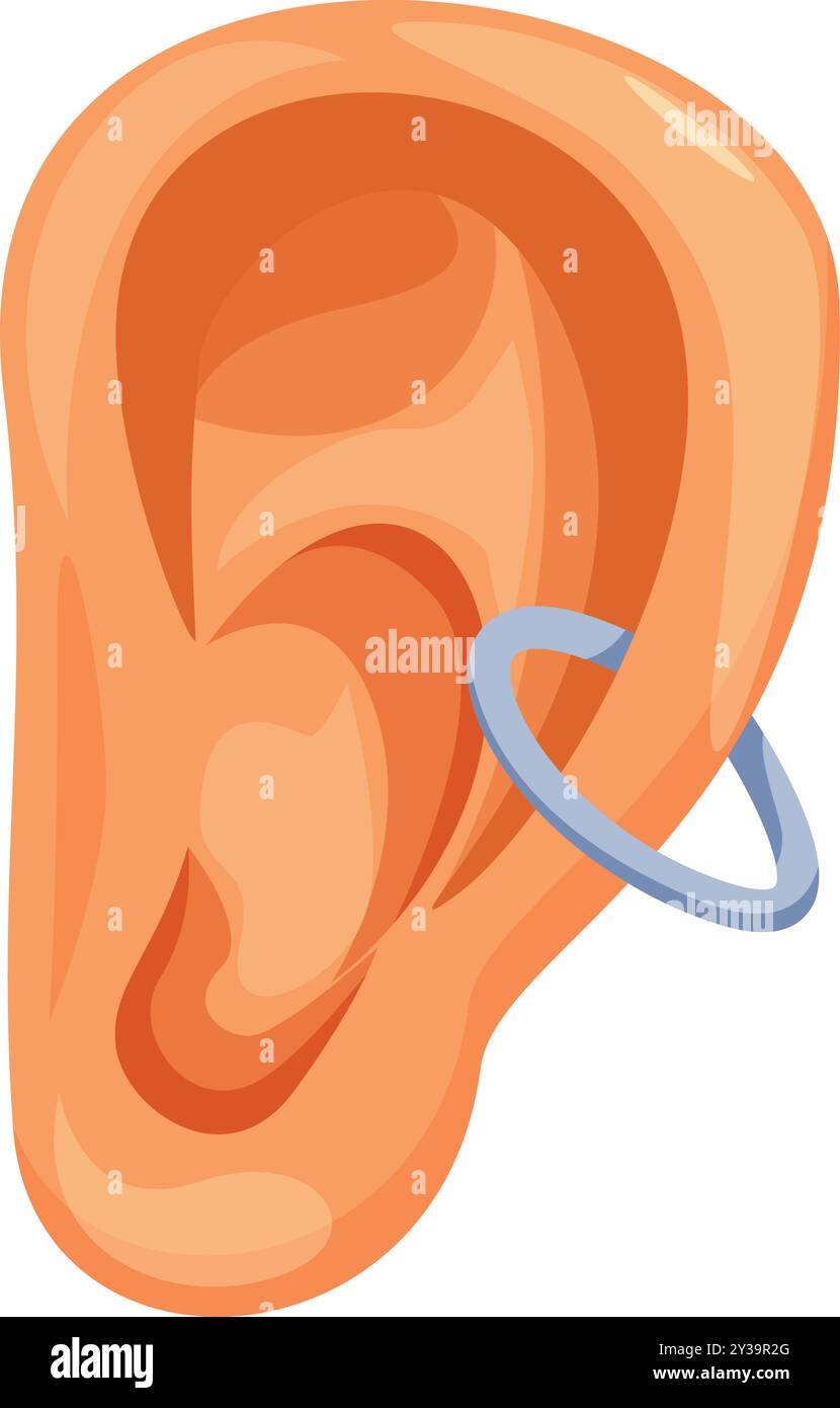 Realistic vector illustration of a human ear with an outer cartilage ...