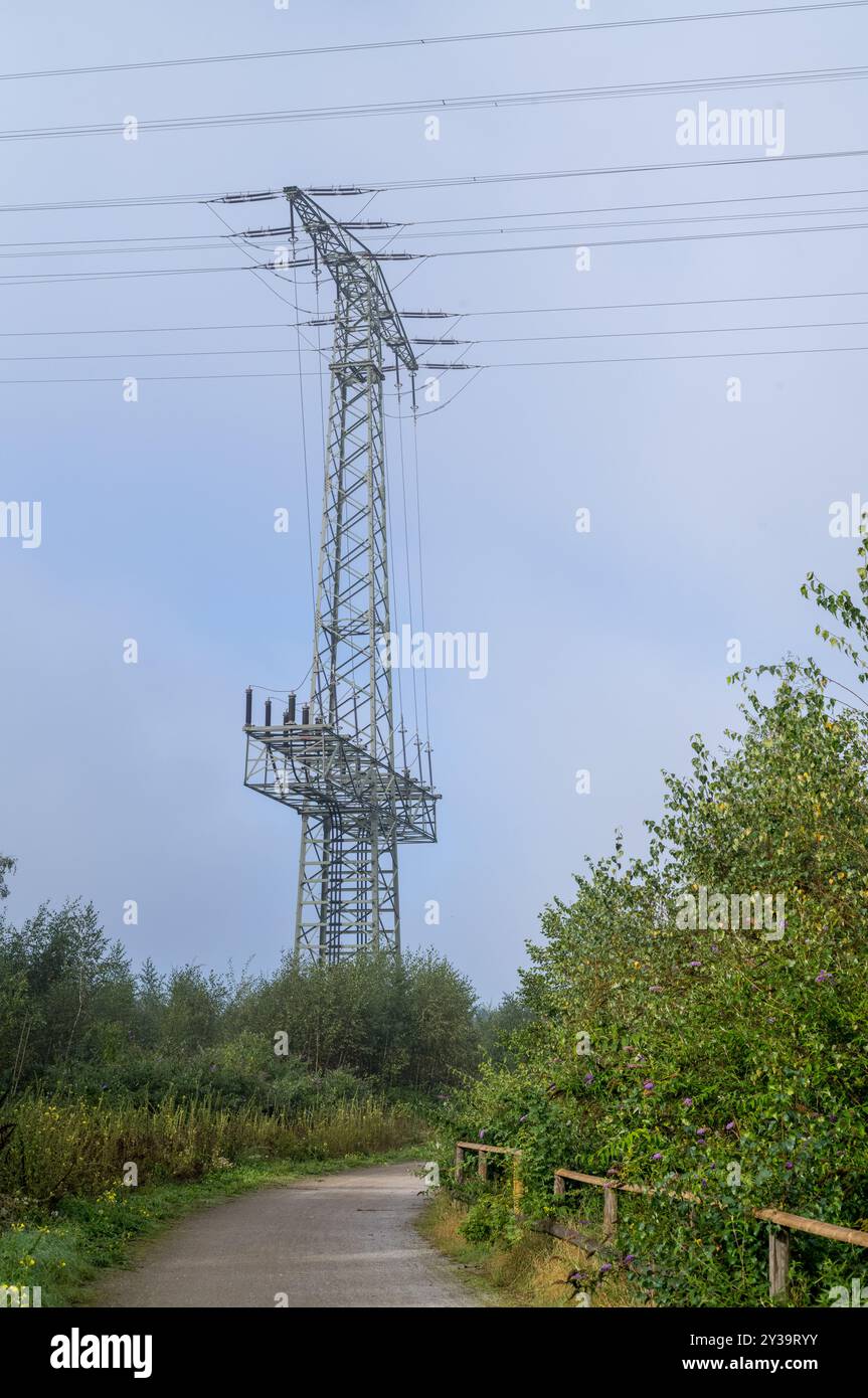 large high voltage pylons for industry Stock Photo - Alamy