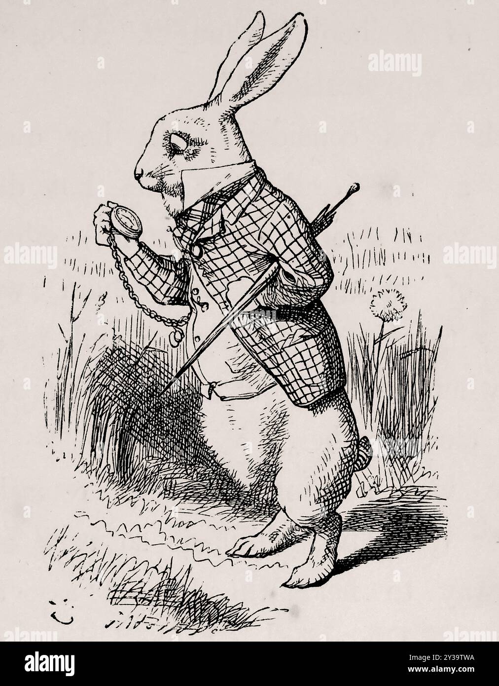 Lewis Carrol - the White Rabbit Art by John Tenniel for Alices ...