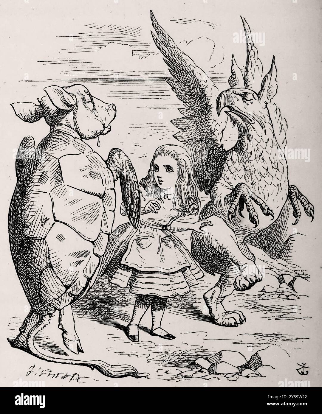 Mock turtle hi-res stock photography and images - Alamy