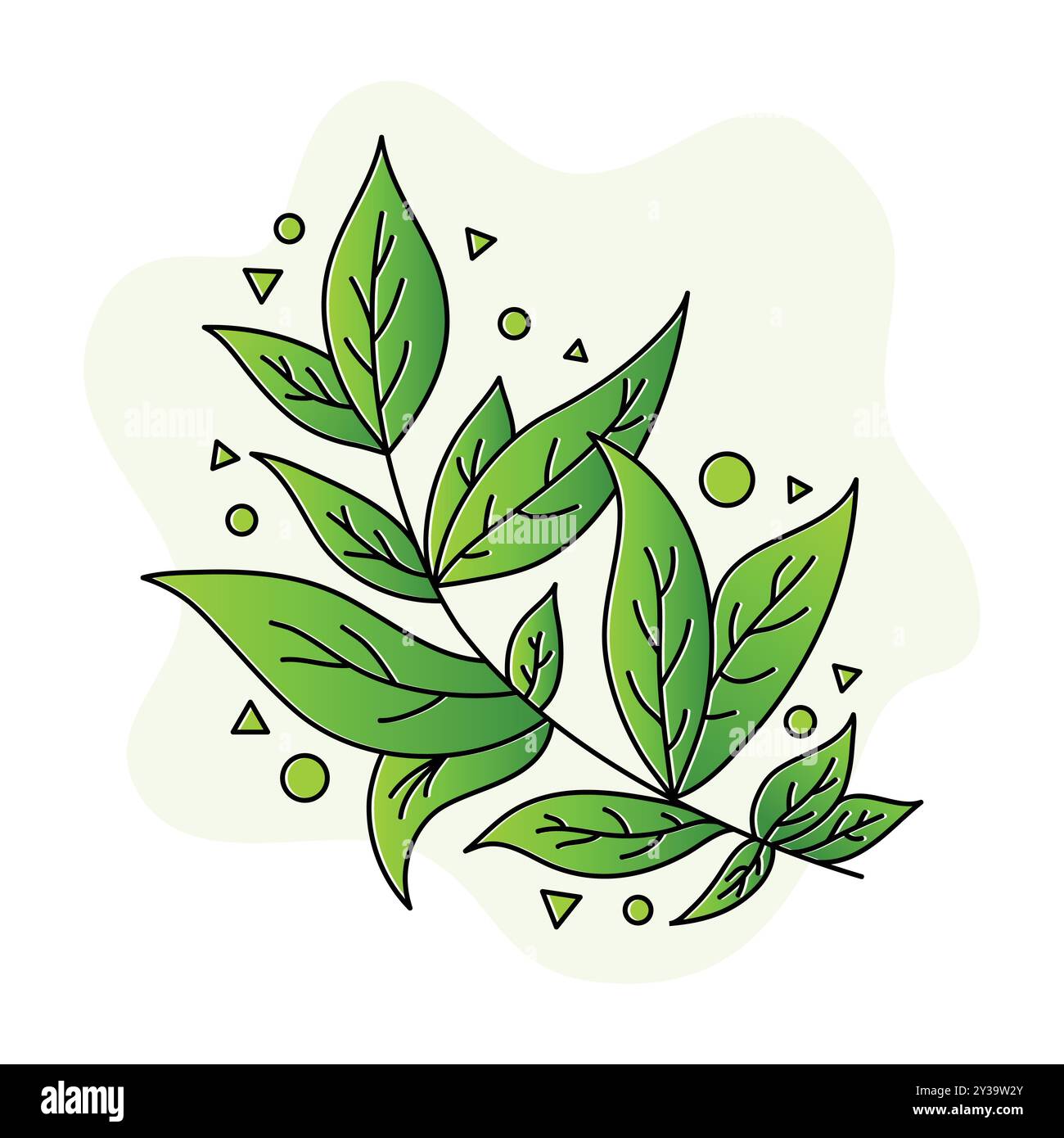 Green Tea Leaves Illustration with Geometric Accents, Natural and ...