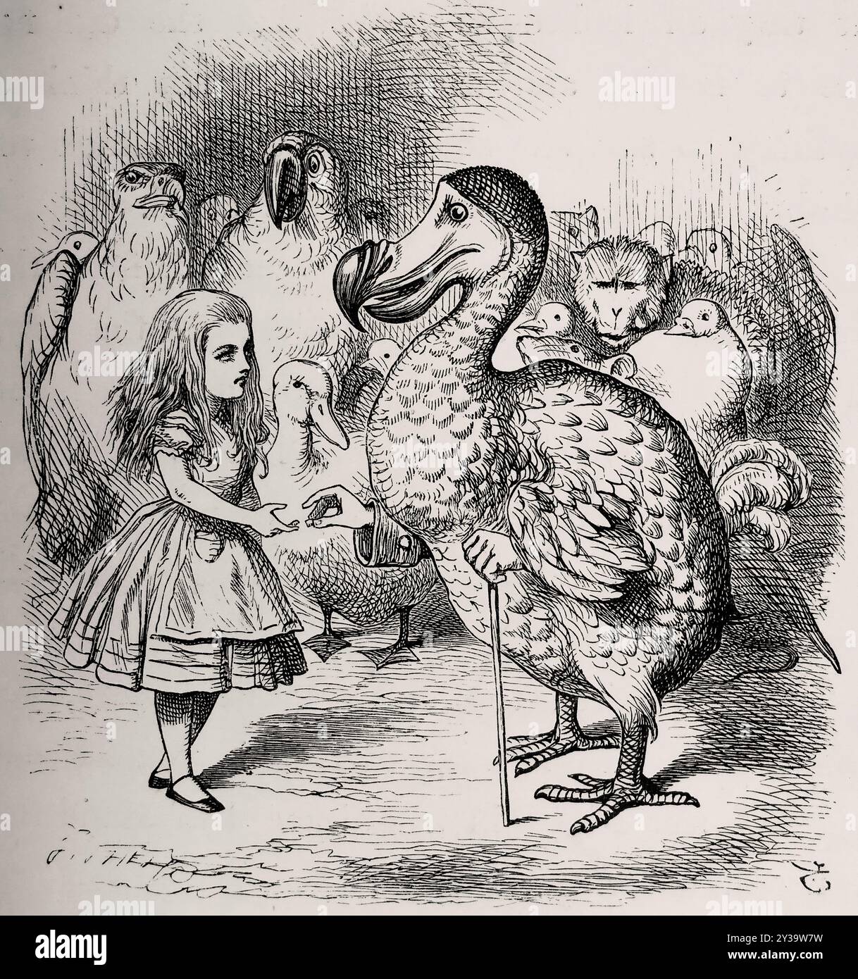 Lewis Carrol - Alice Meets the Dodo Art by John Tenniel for Alices ...