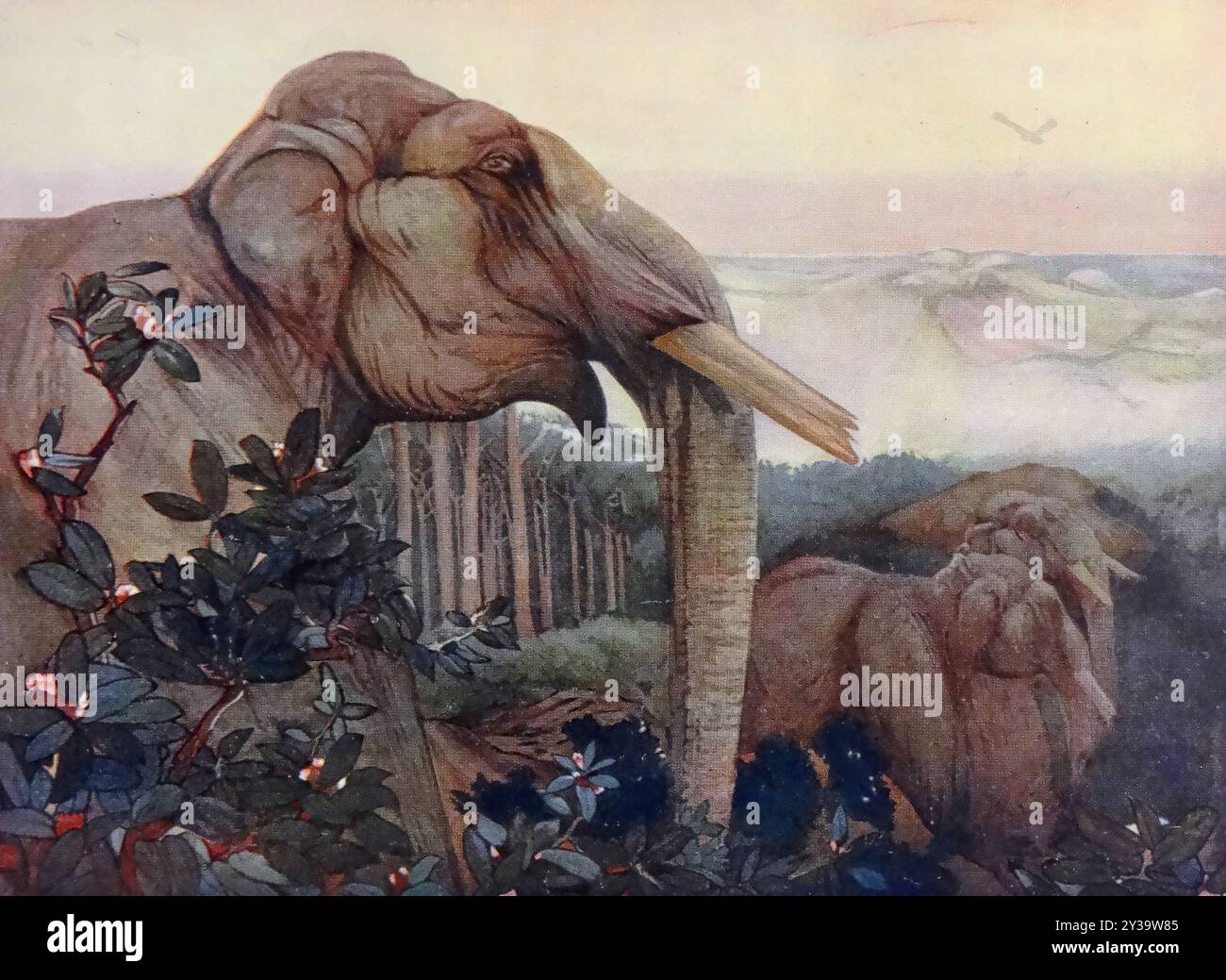 Rudyard Kilpling - Toomai of the Elephants Art by the Detmold Brothers ...