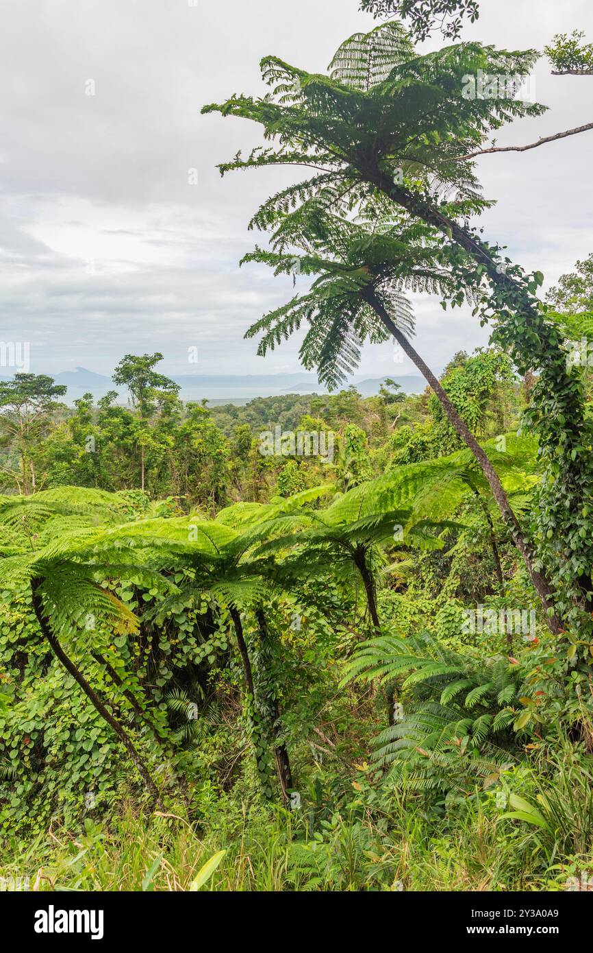 Outstanding view from Mount Alexandra Lookout in Queensland, Australia ...