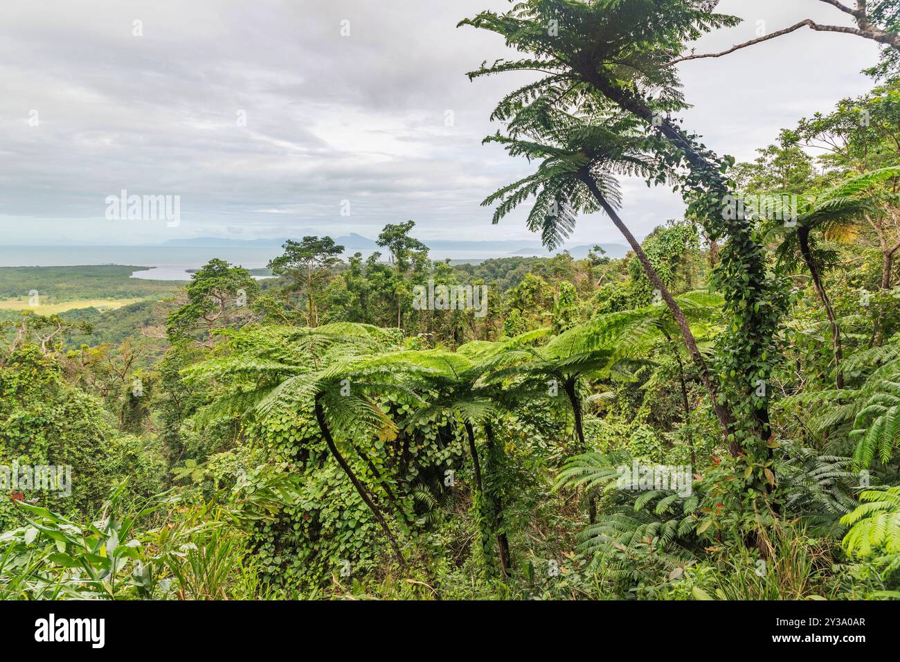 Outstanding view from Mount Alexandra Lookout in Queensland, Australia ...