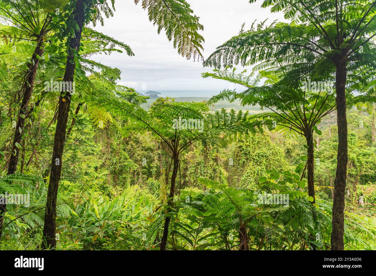 Outstanding view from Mount Alexandra Lookout in Queensland, Australia ...