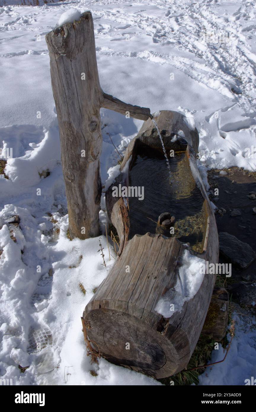Rustic water fountain and trough made from dead tree trunks in snowy ...