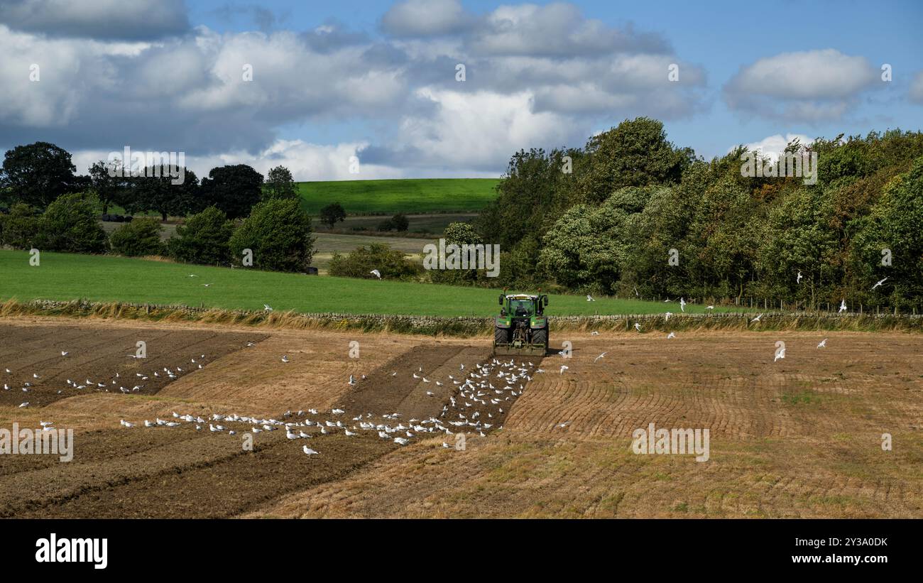 Rear view of green utility tractor hi-res stock photography and images ...