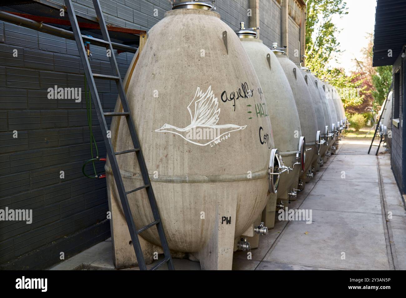 Row of concrete fermentation tanks at a modern winery, showcasing the ...