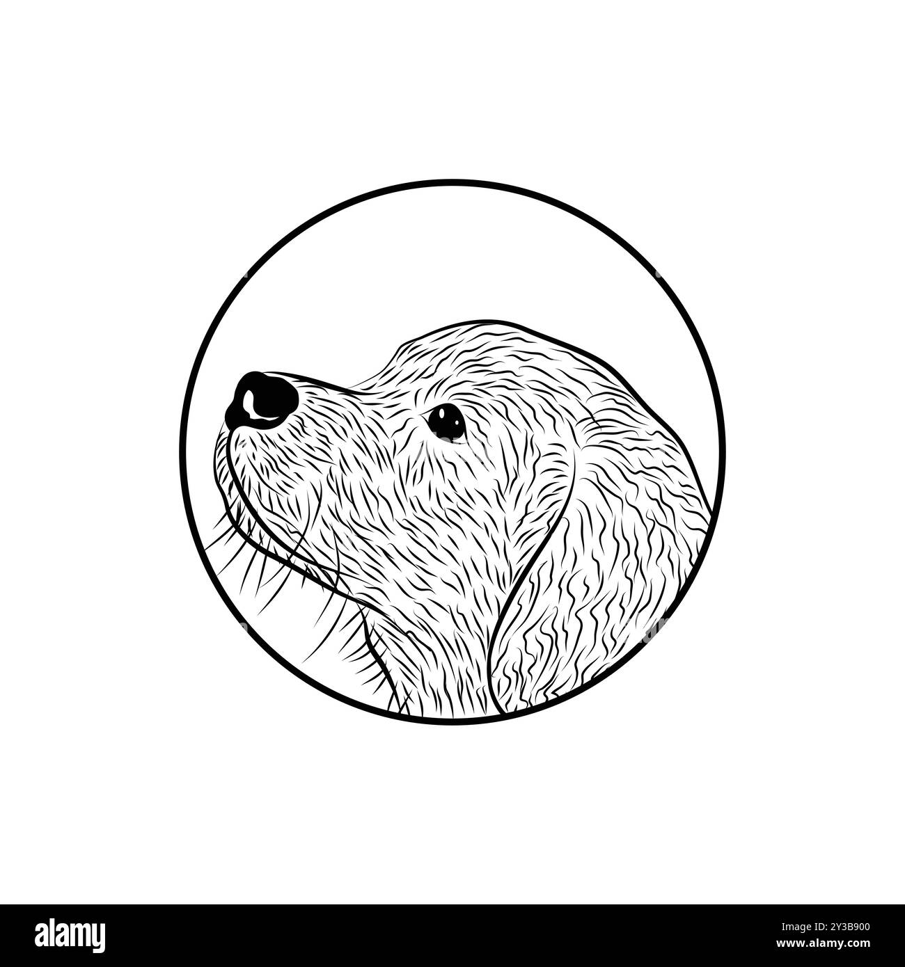 Golden Retriever Line Art - Dog Portrait in Circle - Vector ...