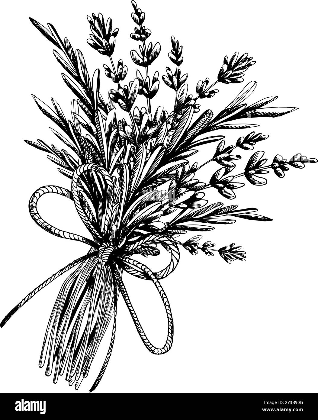 Lavender flowers and leaves, twigs collected in a bouquet and tied with ...