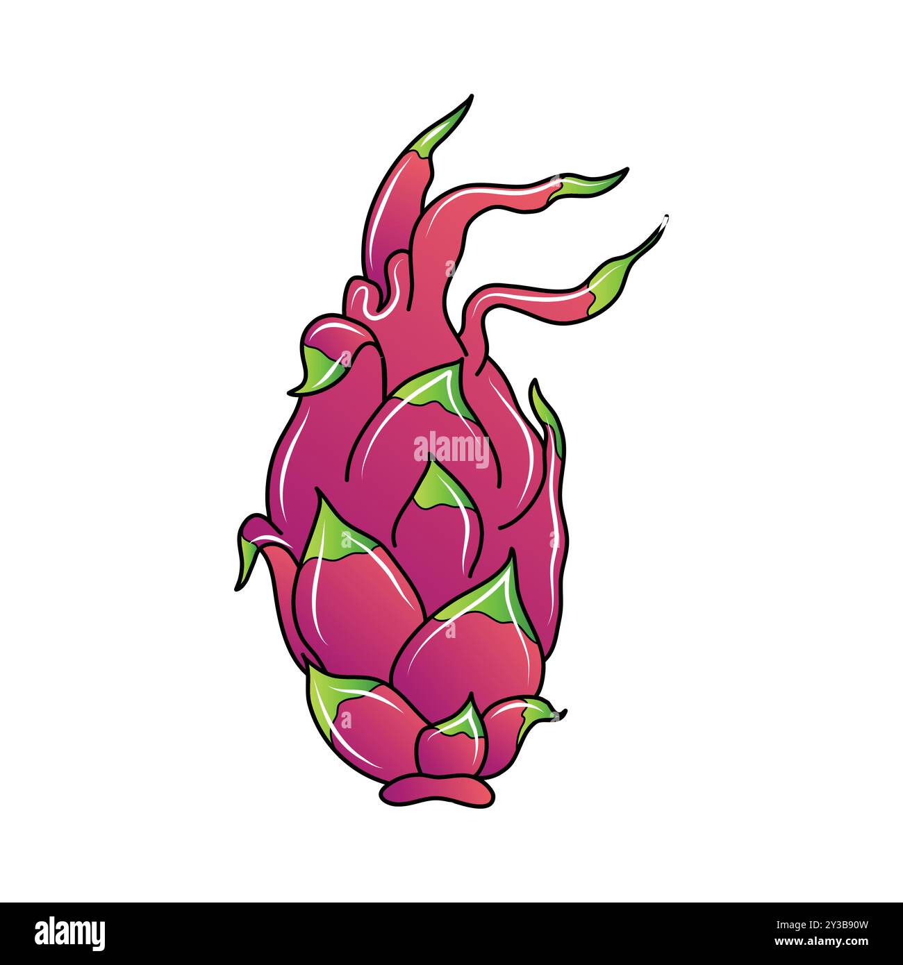 Dragon Fruit Illustration - Exotic Tropical Fruit - Vector Graphic ...