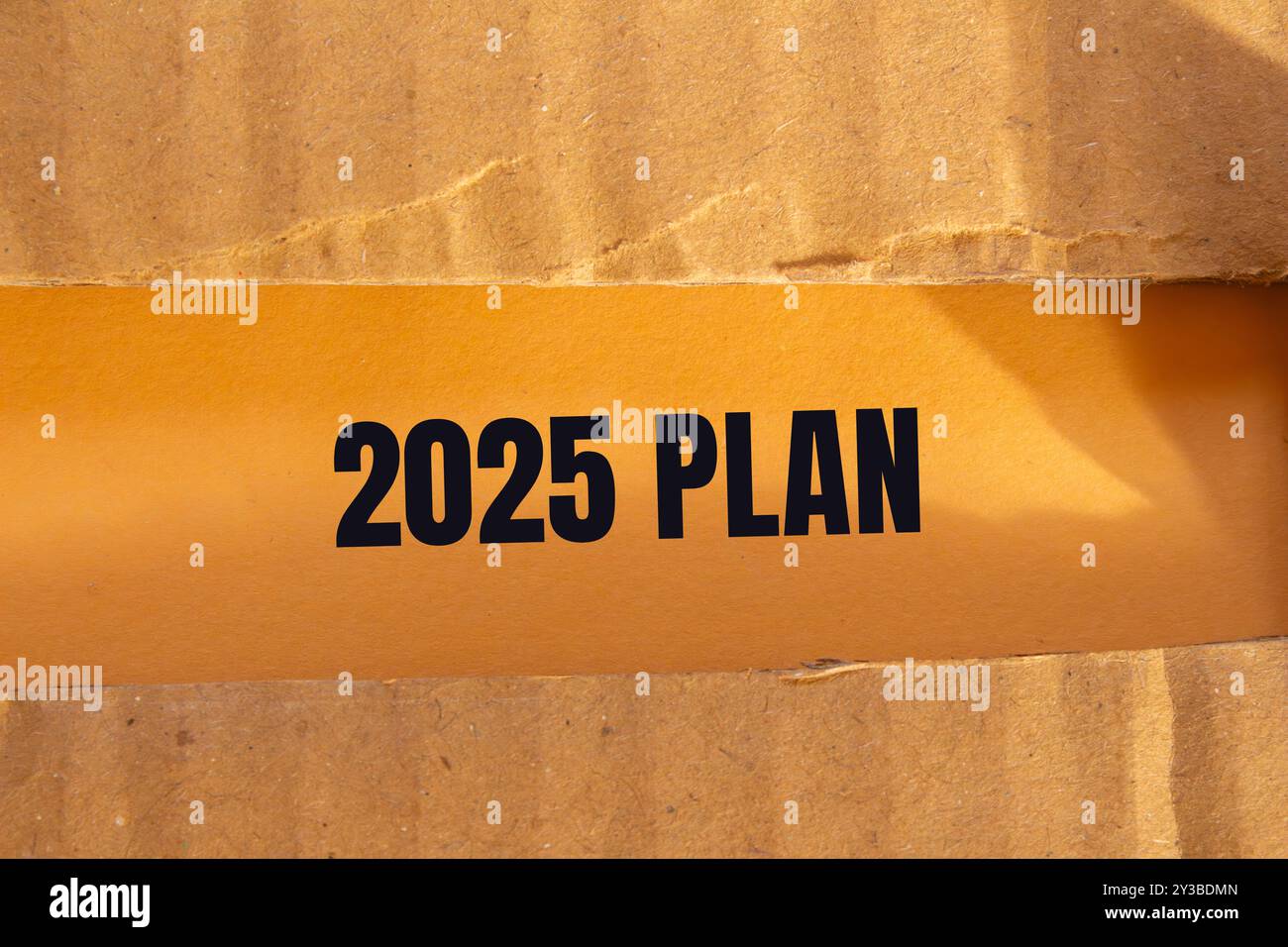 2025 plan message written on ripped torn cardboard paper with orange ...