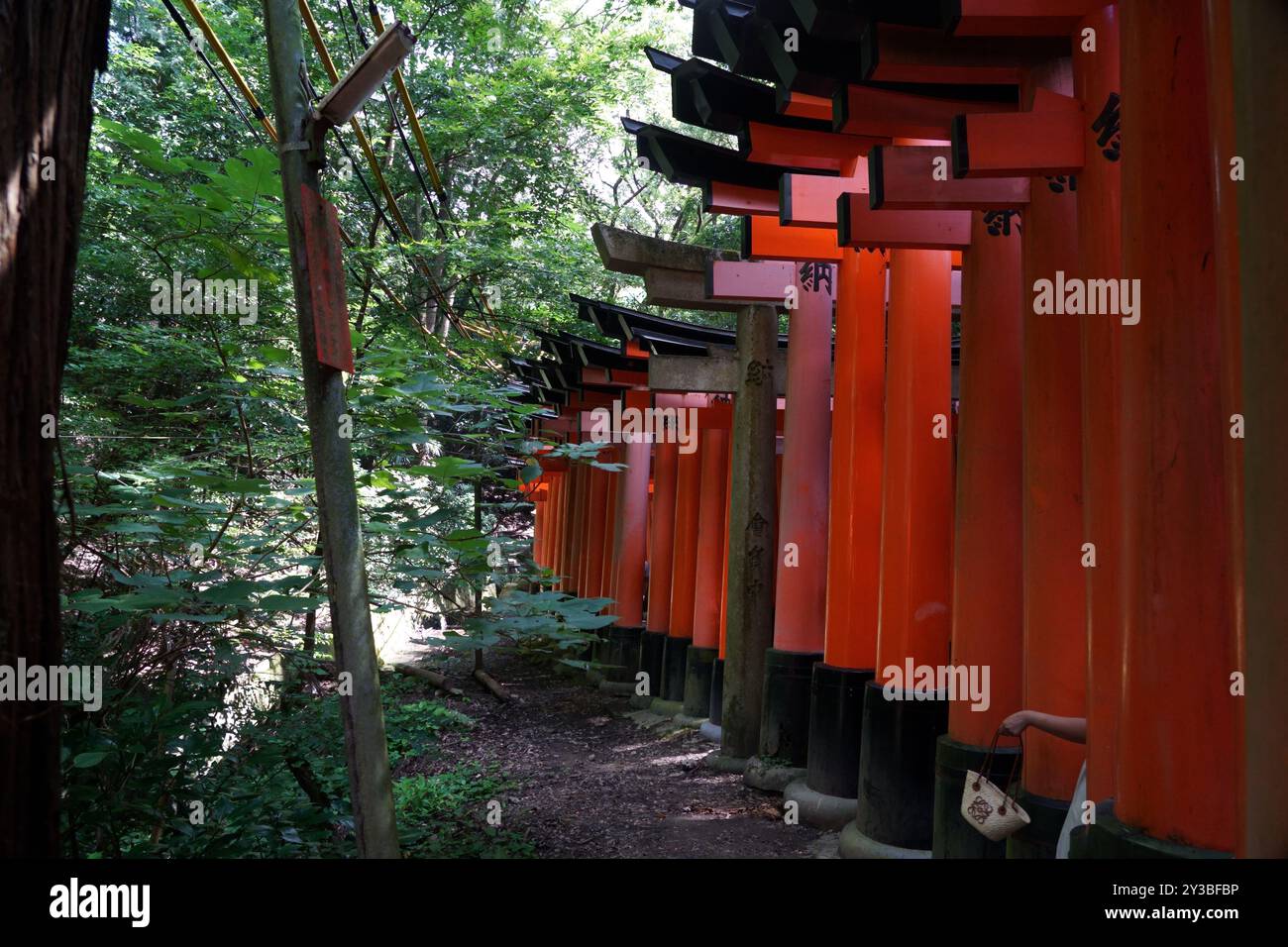 Fushimi Inari-taisha (Japanese: 伏見稲荷大社) is the head shrine of the kami ...